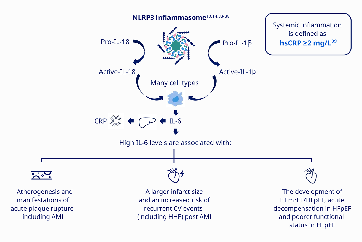 ASCVD and Systemic Inflammation
